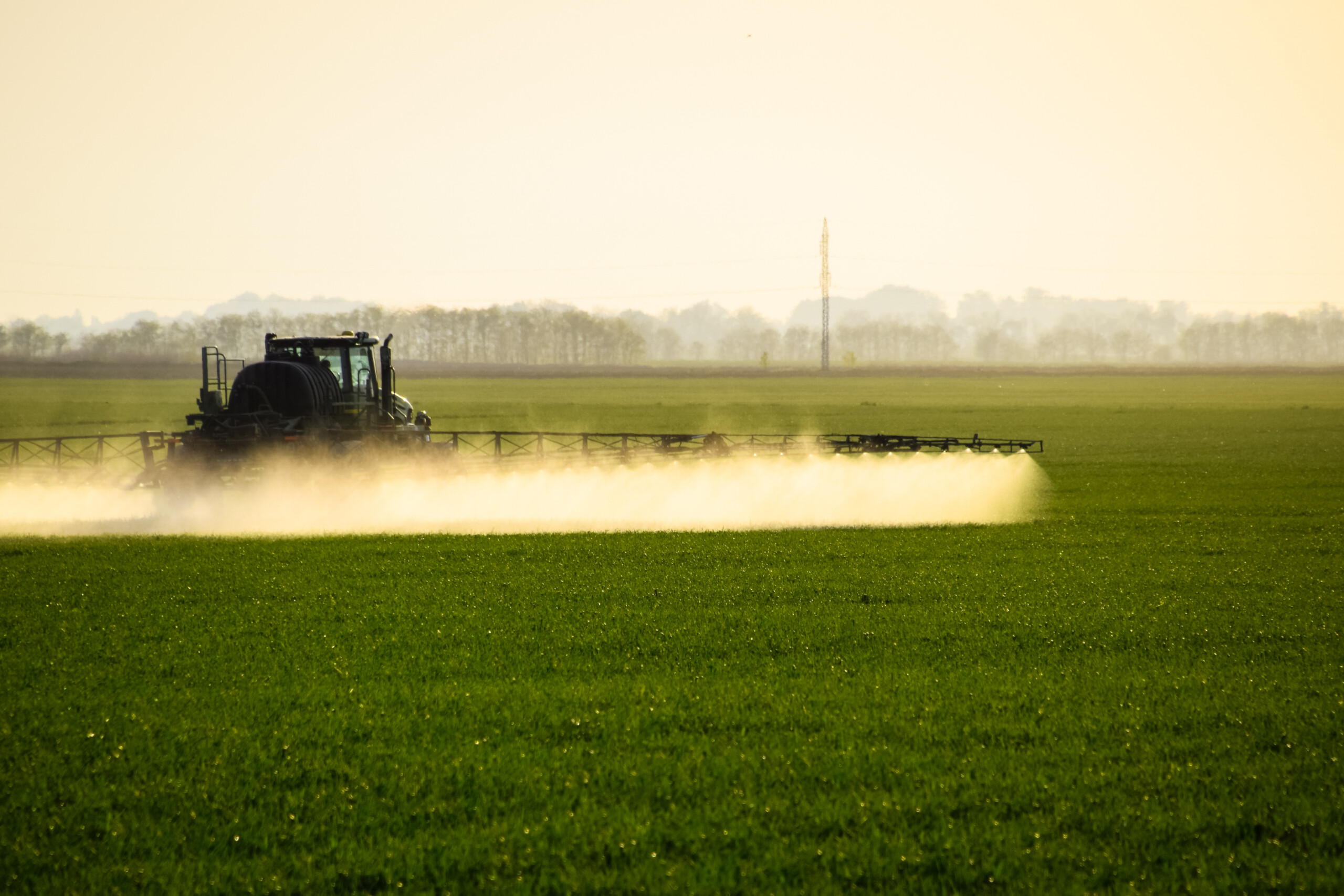 The EU Commission is planning to extend glyphosate approval for another ...